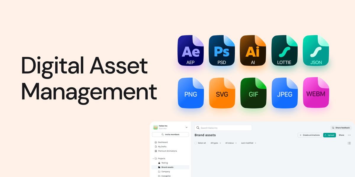 Digital Asset Management for Teams - LottieFiles Blog